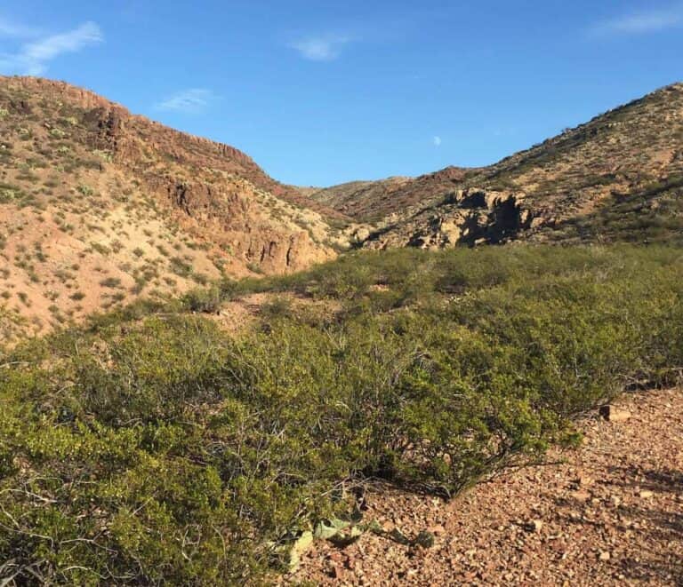 Hiking & Walking Trails near Truth or Consequences & Elephant Butte NM