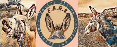 Donkey Magic Fundraiser for EARS - Visit Sierra County